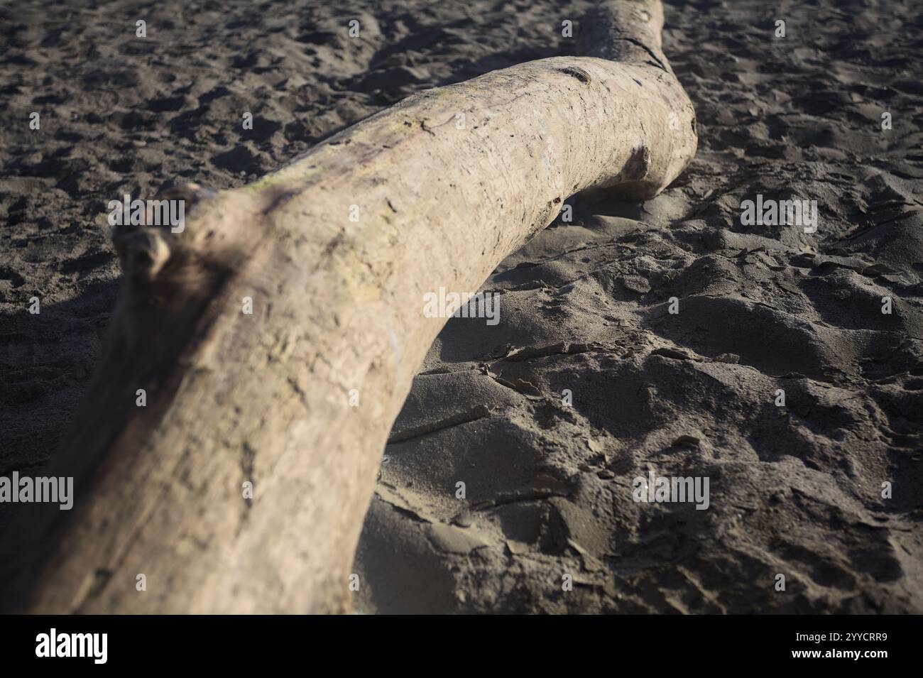 Rivershore hi-res stock photography and images - Alamy