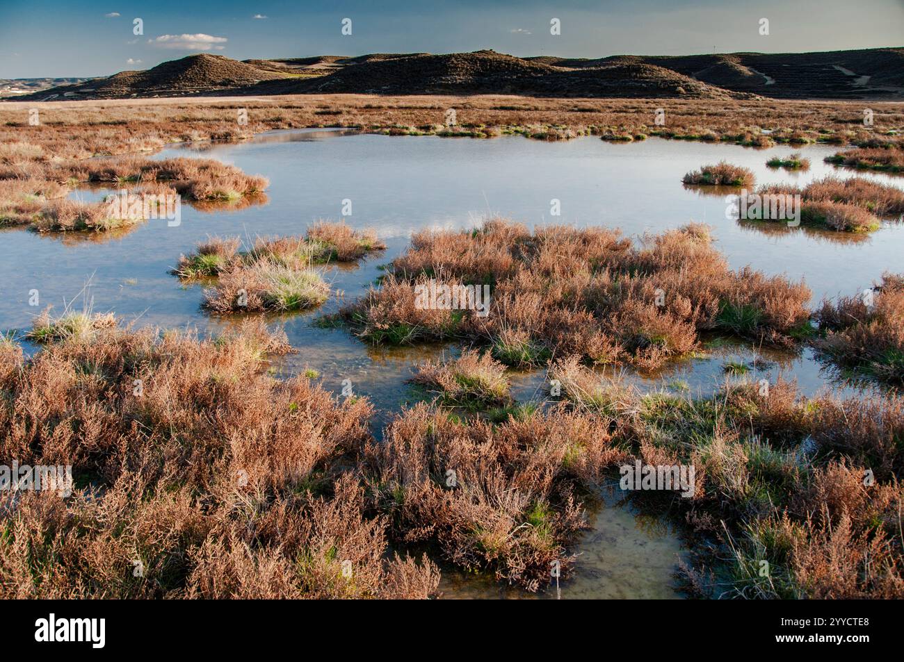 Monegros steppes hi-res stock photography and images - Alamy