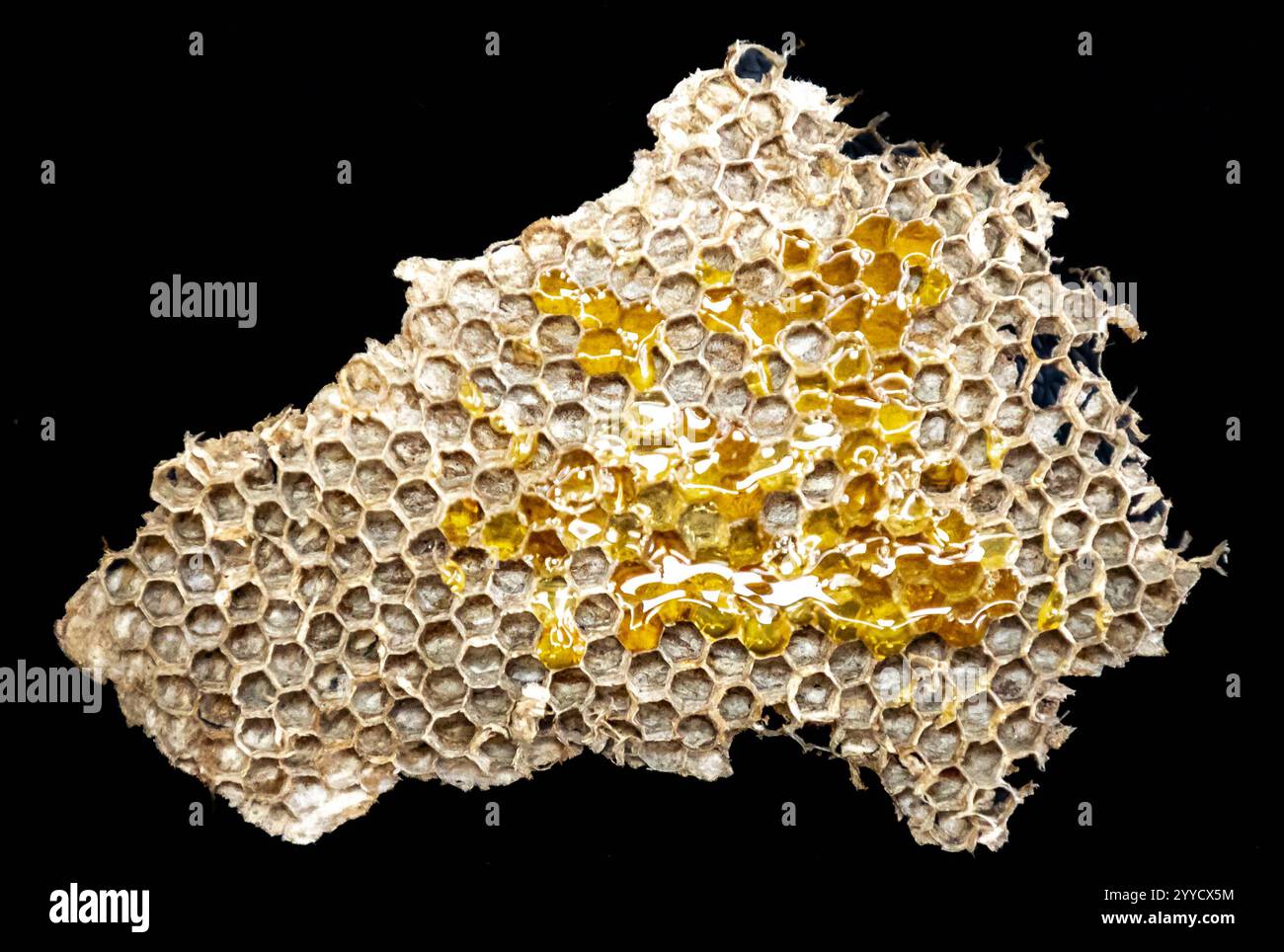 Warm and spicy olfactory pyramid with tobacco, vanilla, chocolate ...