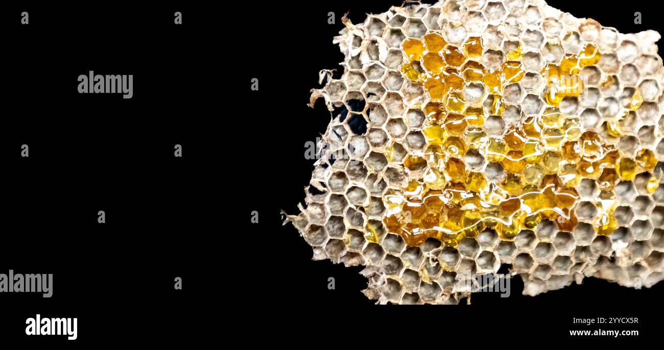 Warm and spicy olfactory pyramid with tobacco, vanilla, chocolate ...