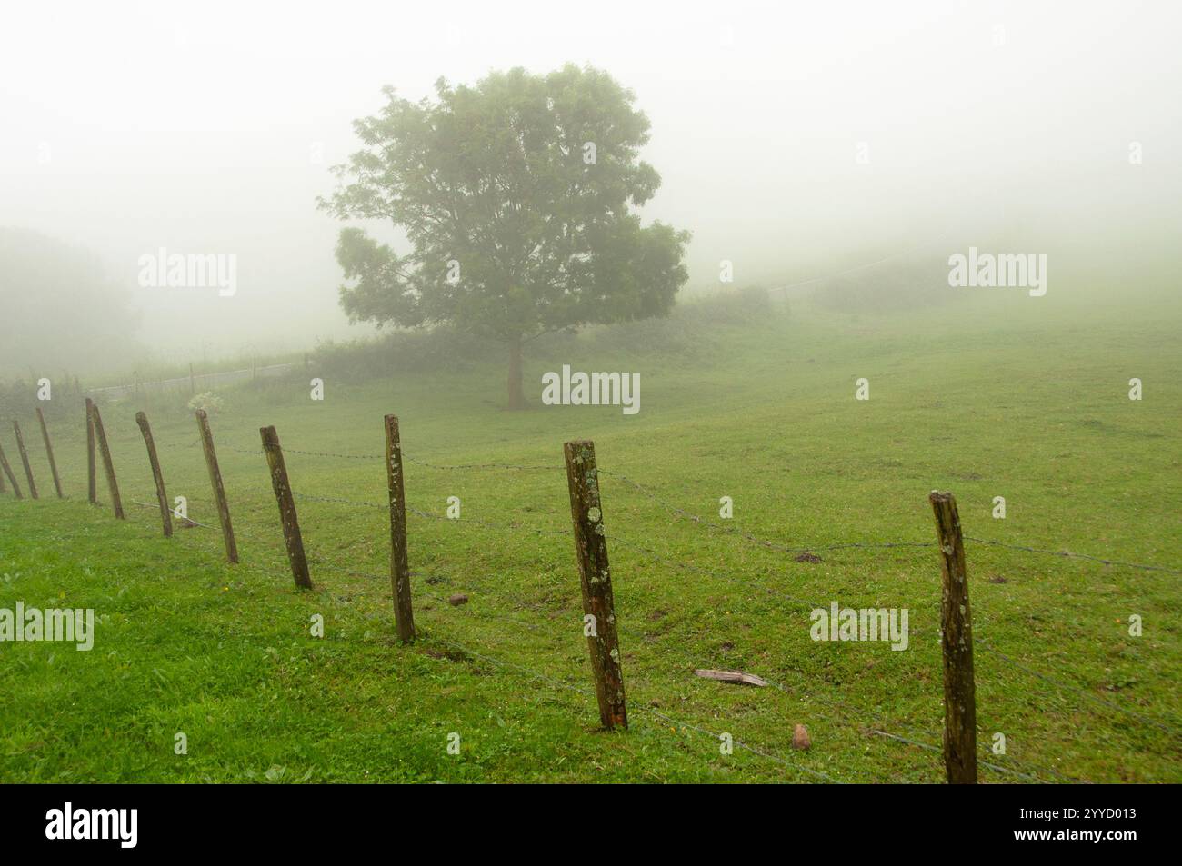 Sollube. Bermeo. Urdaibai Biosphere Reserve of Biscay, Basque Country ...
