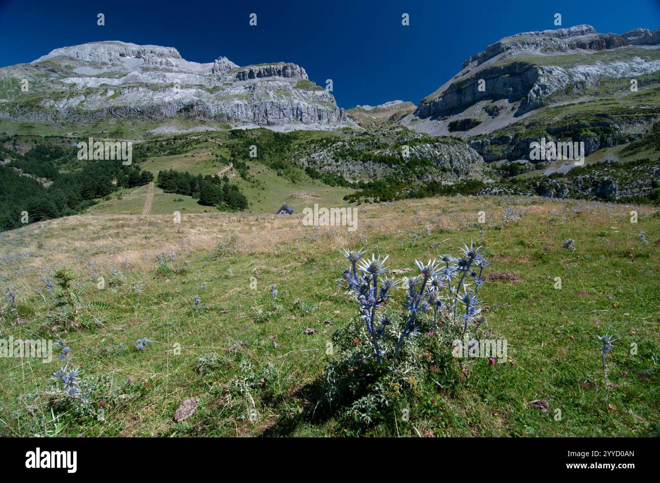 Mountain views in Aragues del Puerto Valley. Huesca. Spain Stock Photo ...