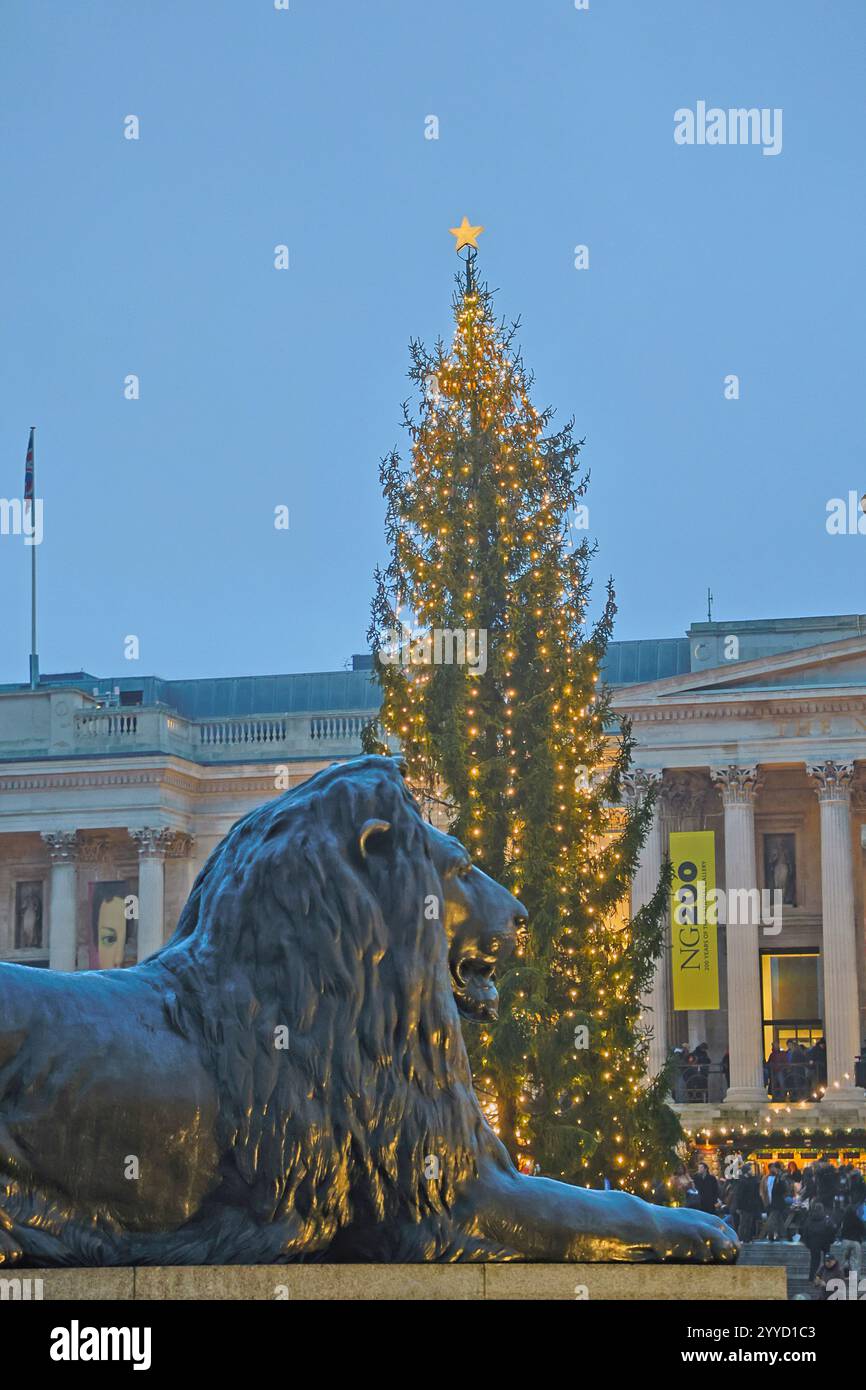 Christmas tree in Trafalgar Square London UK December 2024 Stock Photo ...