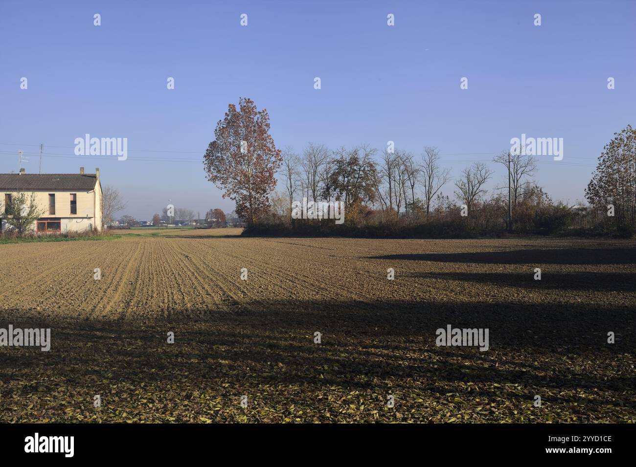 Ploughed field with a group of houses and a grove in a village in the ...