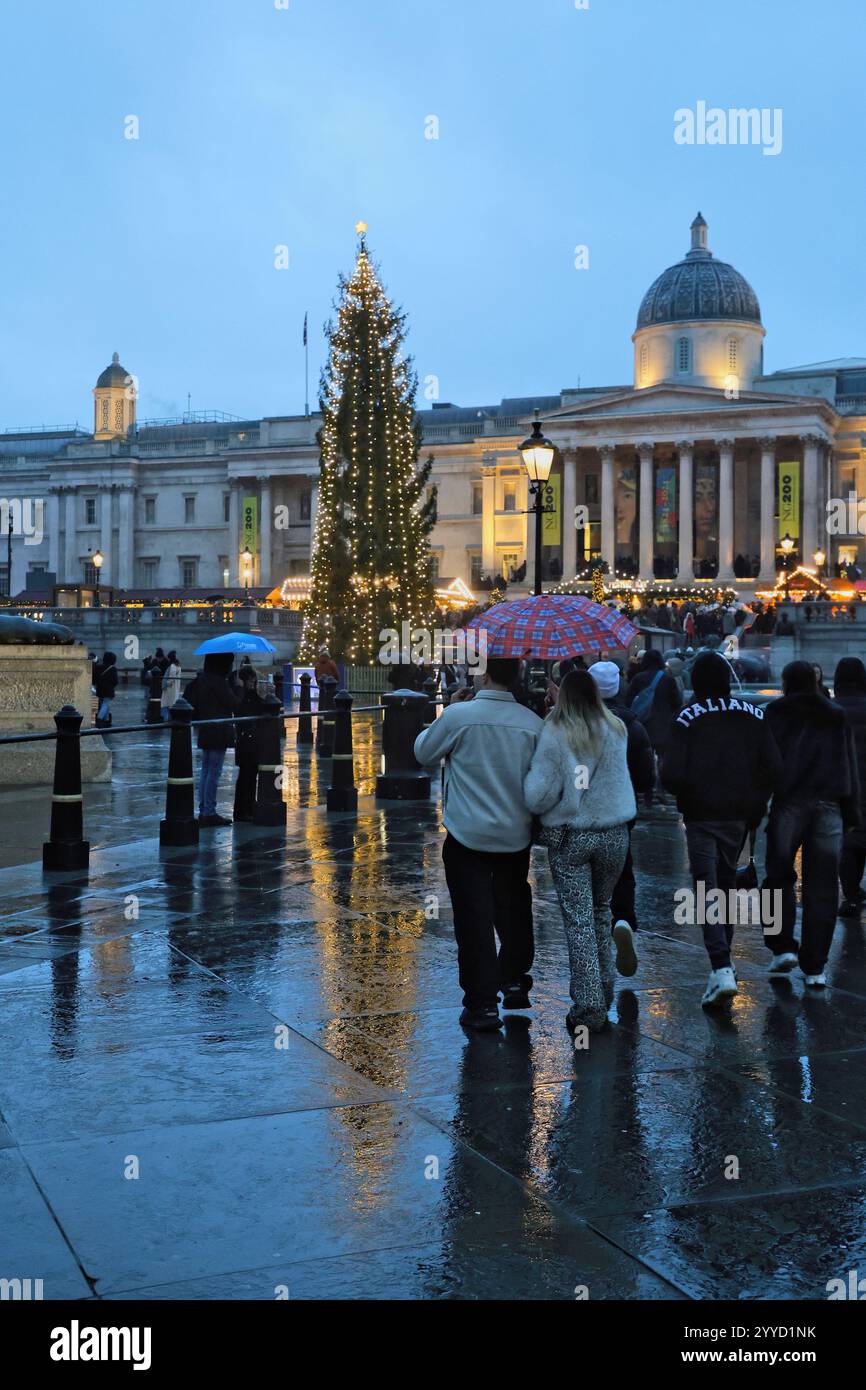 Christmas tree in Trafalgar Square London UK December 2024 Stock Photo ...