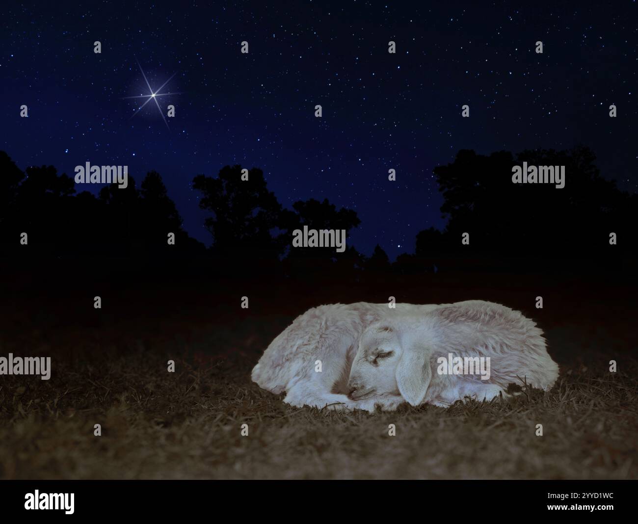 Star filled night sky for Christmas with one shining brightest with a ...