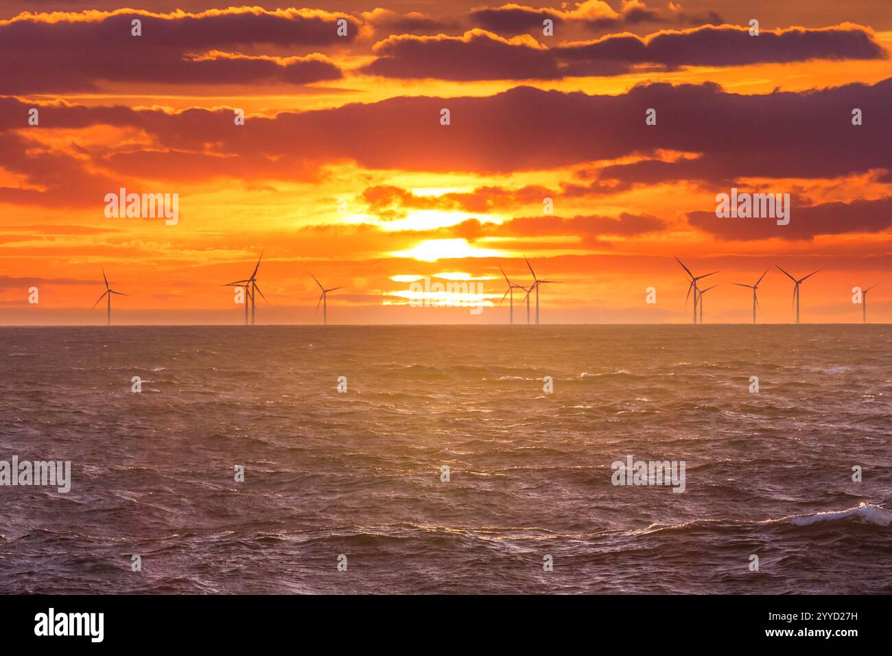 Renewable green electricity wind power generation offshore. Sunrise at ...