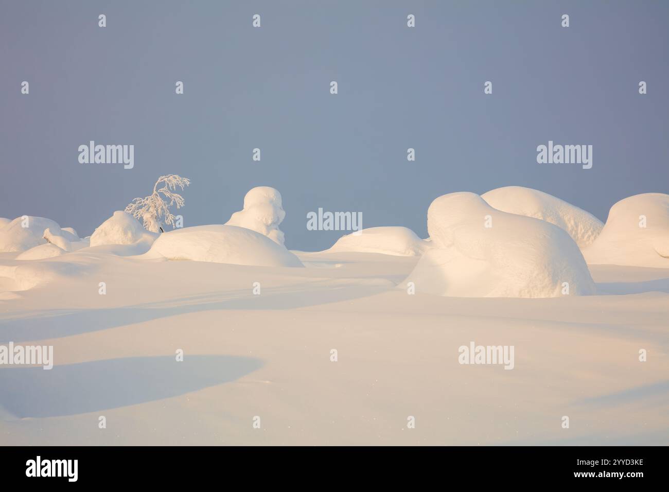 Finnish Lapland. Minimalist snowy landscape in the rays of winter sun ...