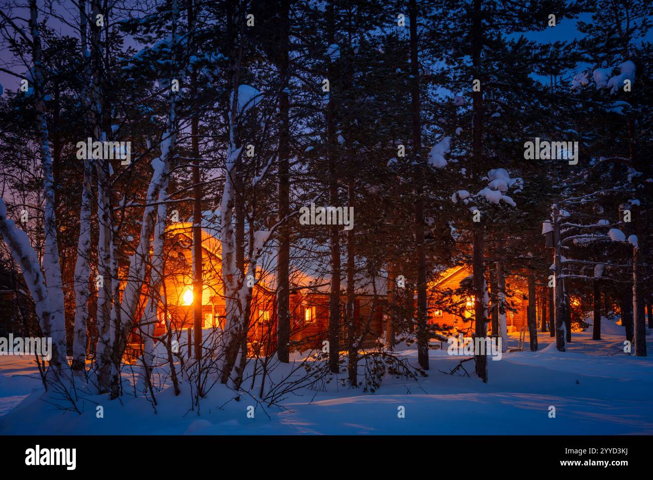 Night forest in Finnish Lapland in winter. Lots of snow on the ground ...