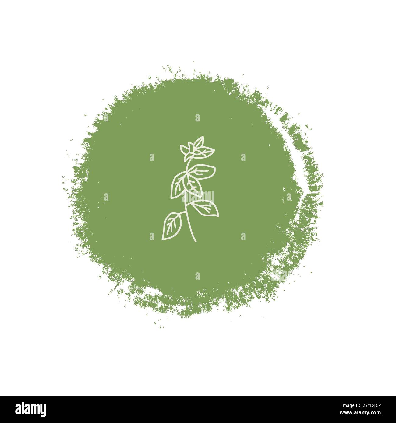 Basil culinary herb label. Hand drawn badge. Vector hand drawn doodle ...