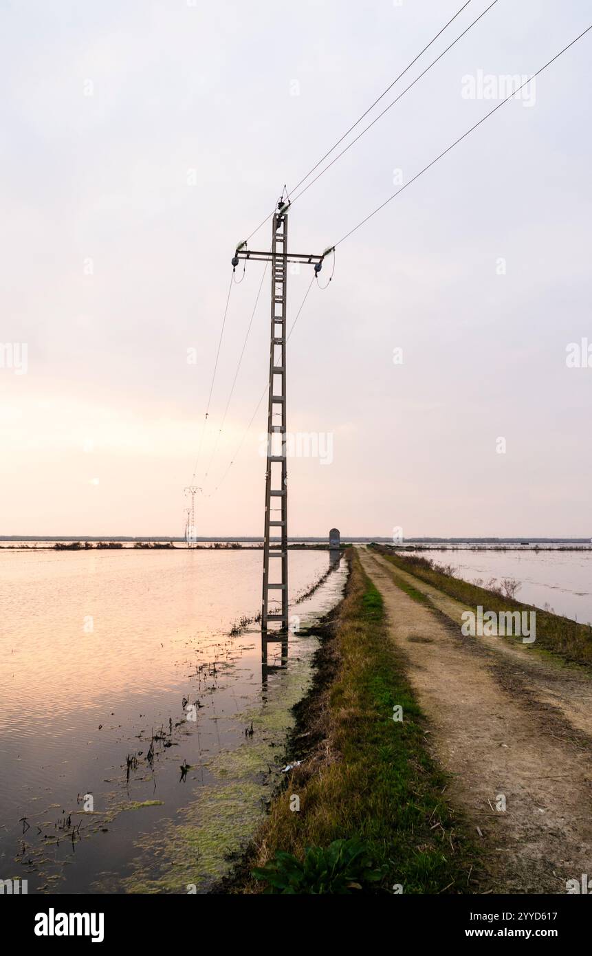 Valencias ecosystem hi-res stock photography and images - Alamy
