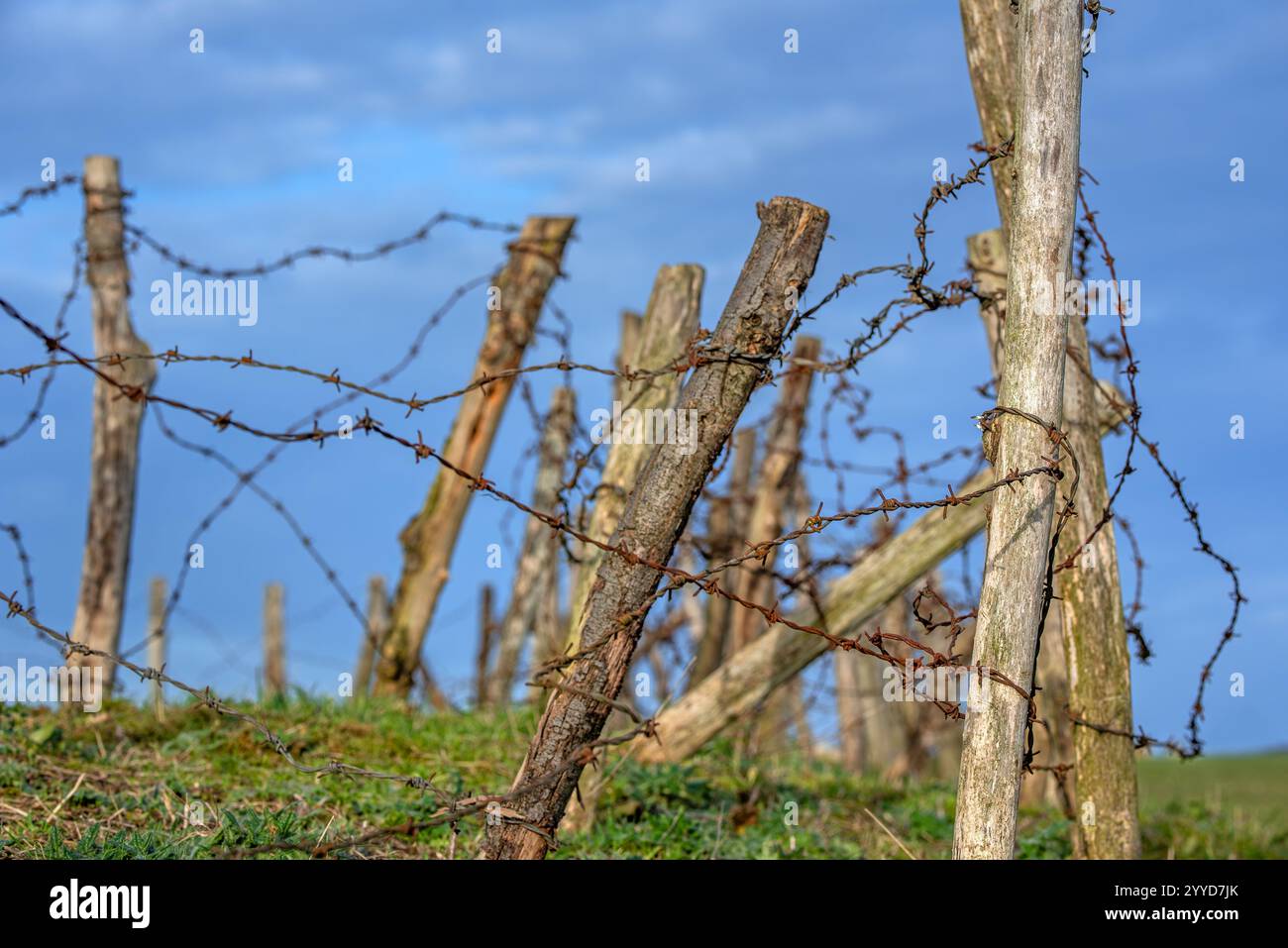 Ww1 battlefield barbed wire hi-res stock photography and images - Alamy