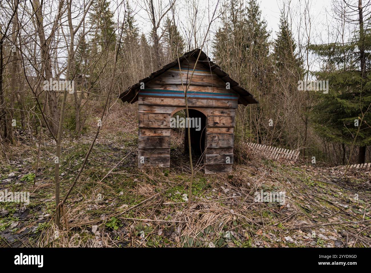 Dilapidated structure surrounded overgrown hi-res stock photography and ...