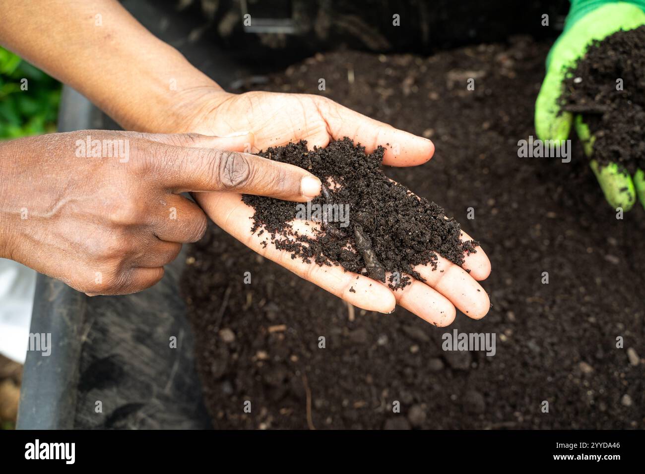 June 14 2023. A close up photo of a finger pointing to an earthwarm in ...