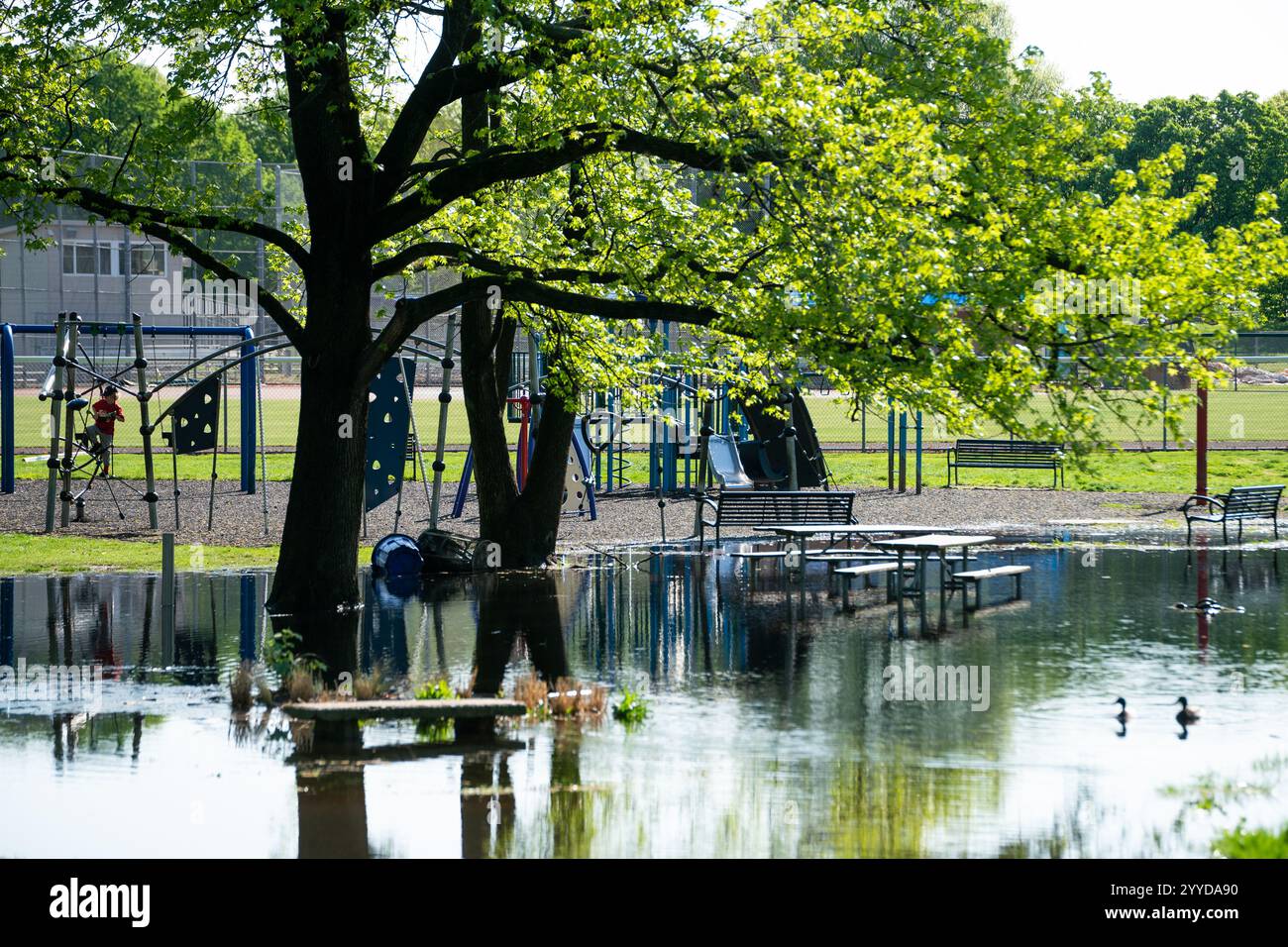 April 23 2023. Flooding at FDR Park Caused by Poor Flood Plain Managent ...