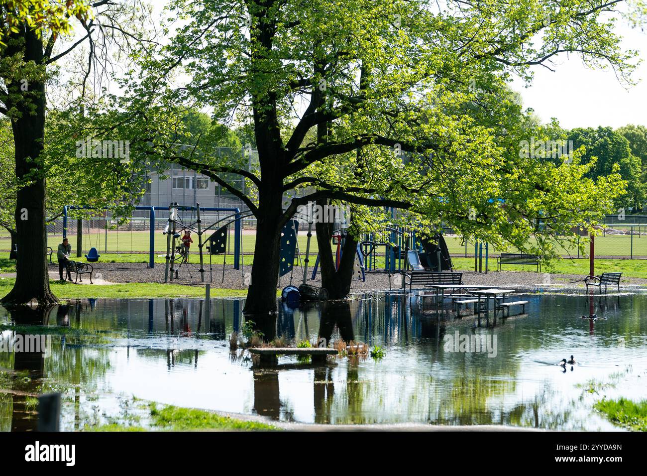 April 23 2023. Flooding at FDR Park Caused by Poor Flood Plain Managent ...