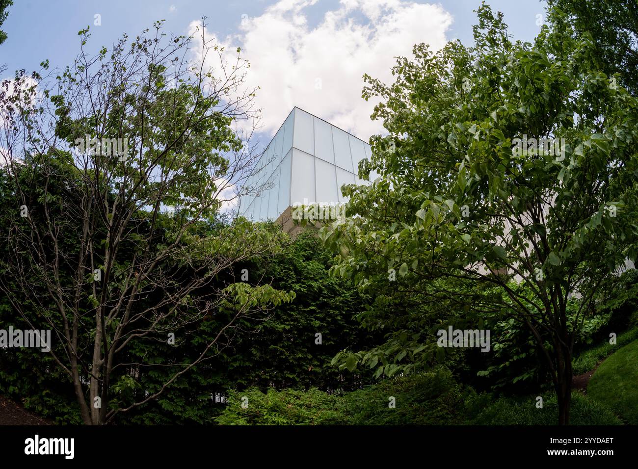 June 13 2023. An exterior view of the Barnes Foundation gardens, cherry ...