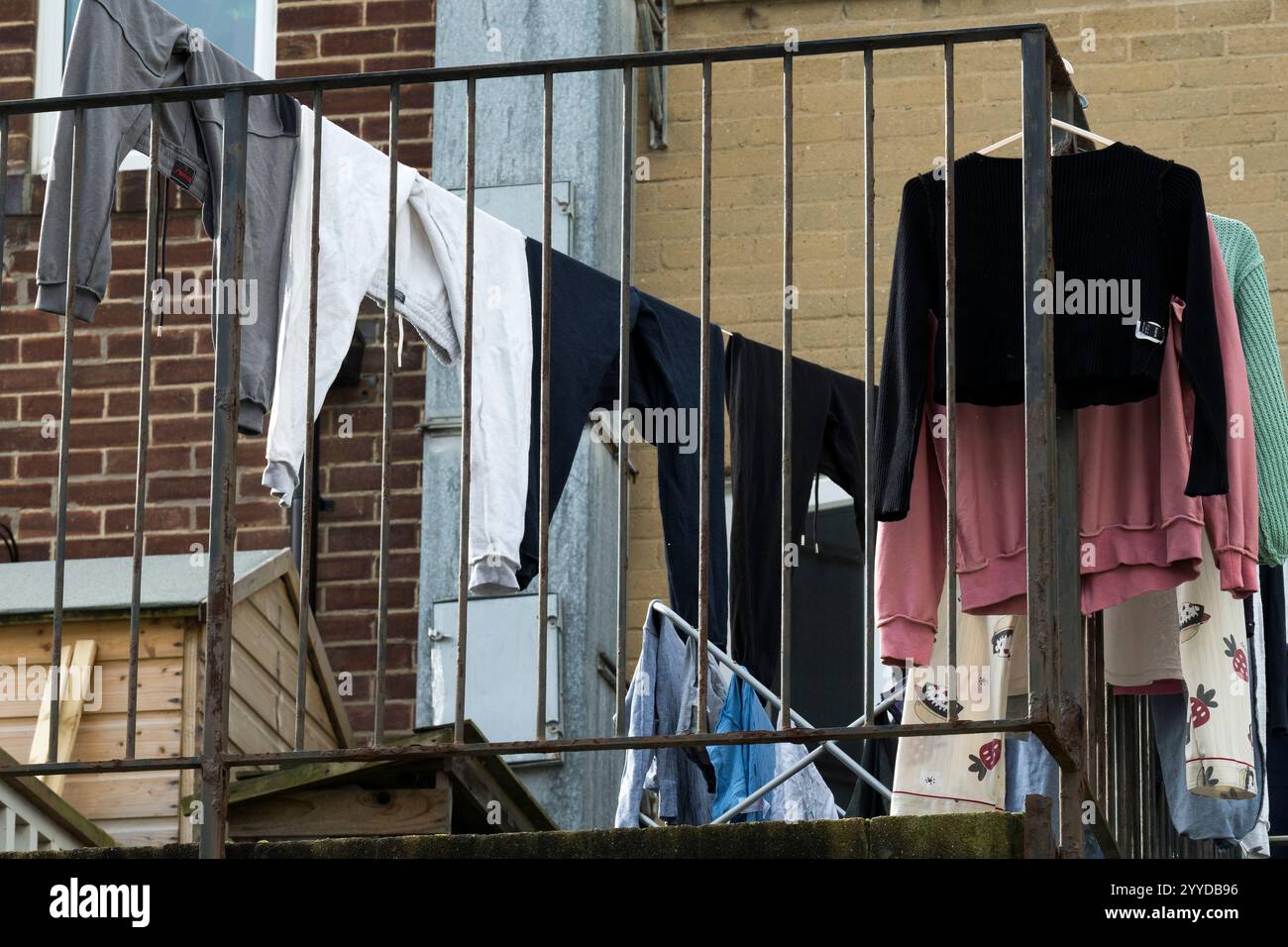 Washing clothes handing Stock Photo - Alamy