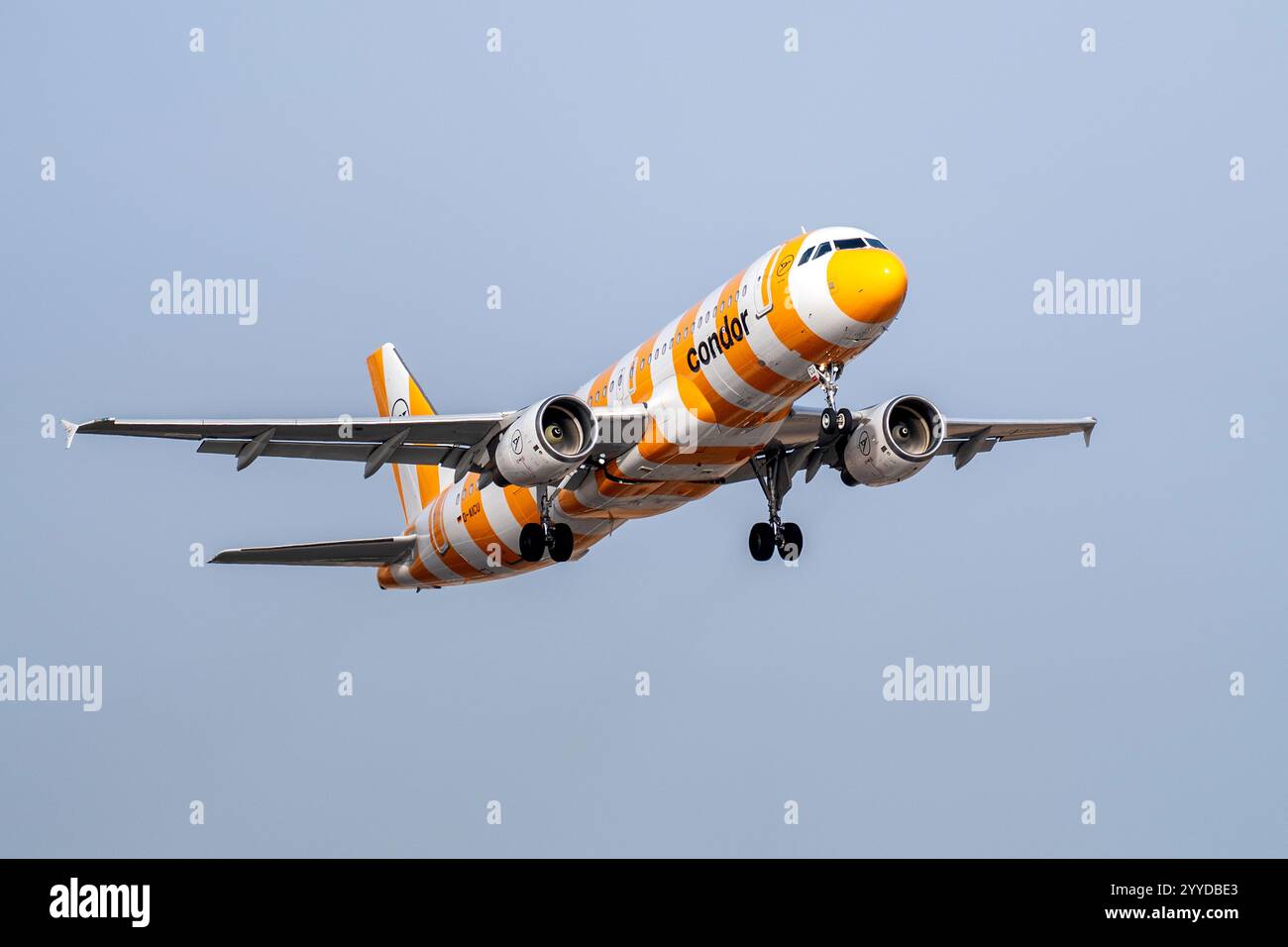 Condor Airbus A320 in Yellow and White Striped Livery Taking Off into ...