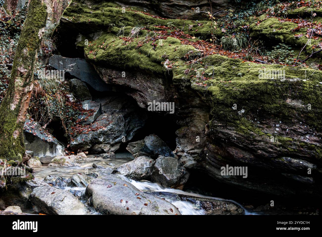 Flowing water between moss-covered rocks Stock Photo - Alamy
