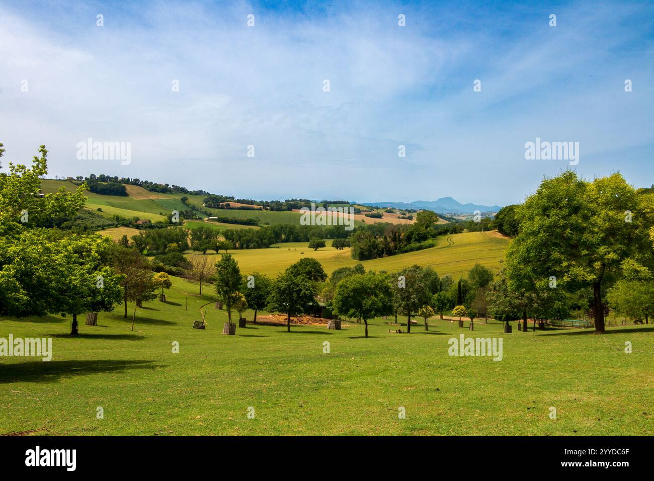 Beautiful summer view hi-res stock photography and images - Alamy