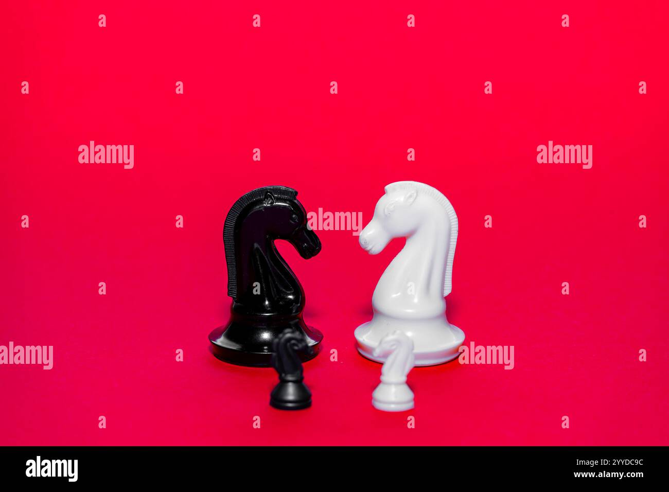 Two chess pieces, a black knight and a white knight, are prominently ...