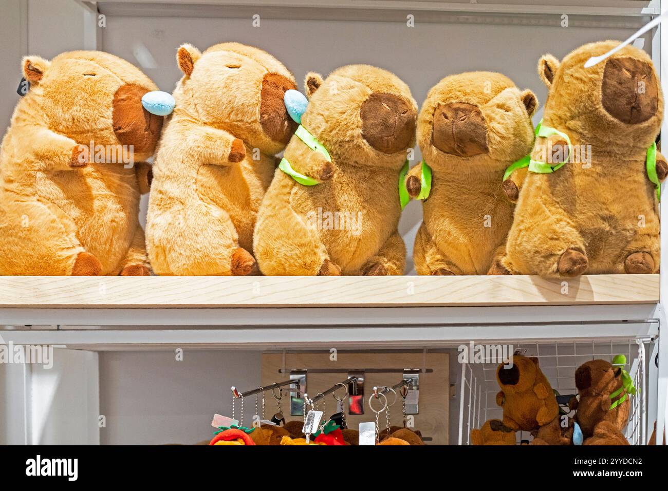 Beaver inspired plushies hi-res stock photography and images - Alamy