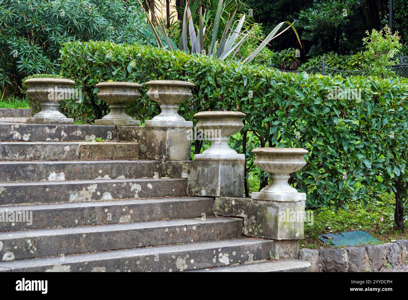 Old faded stone stairs outside in garden with green bushes on side ...