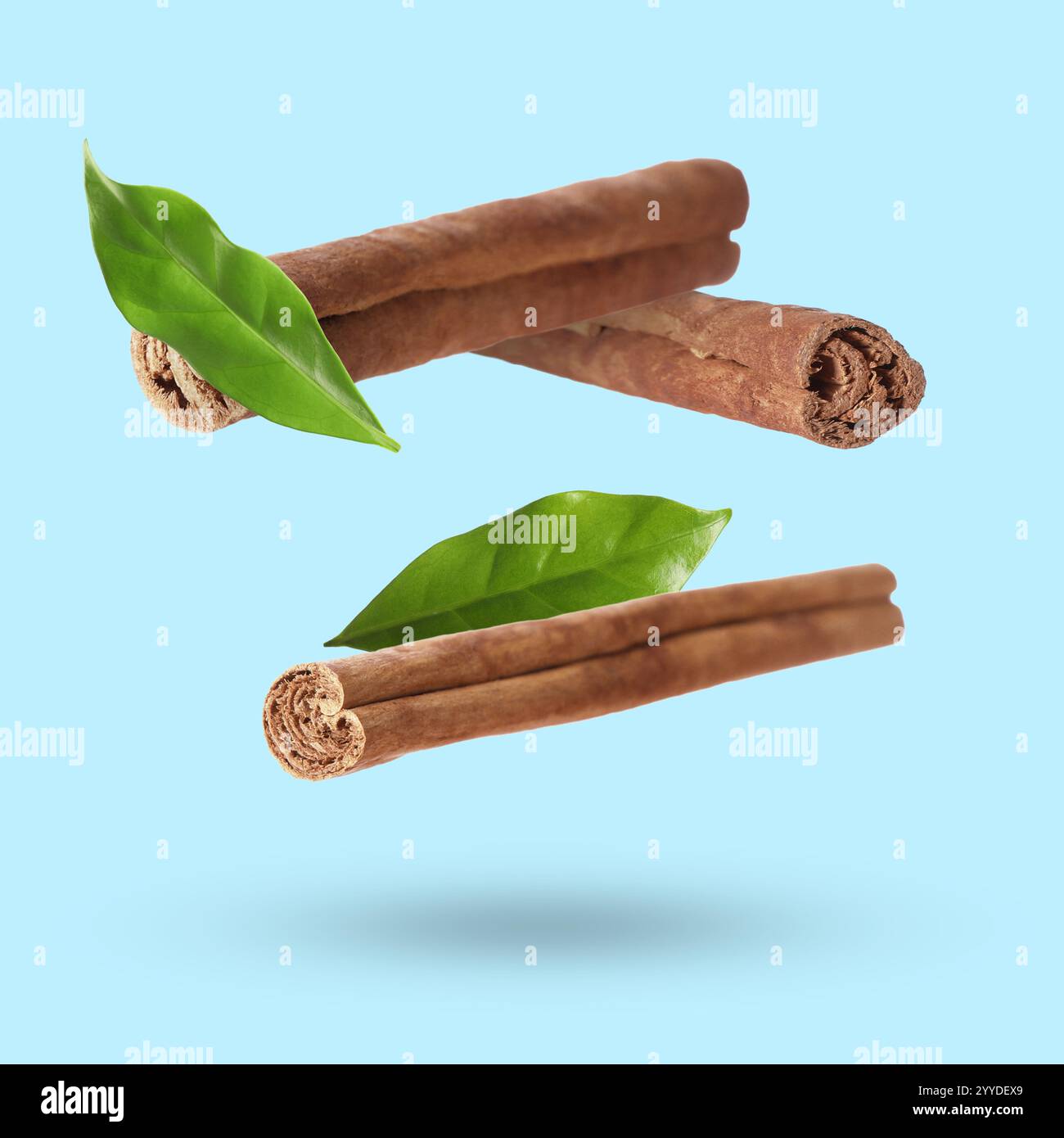 Cinnamon sticks and green leaves in air on light blue background Stock ...