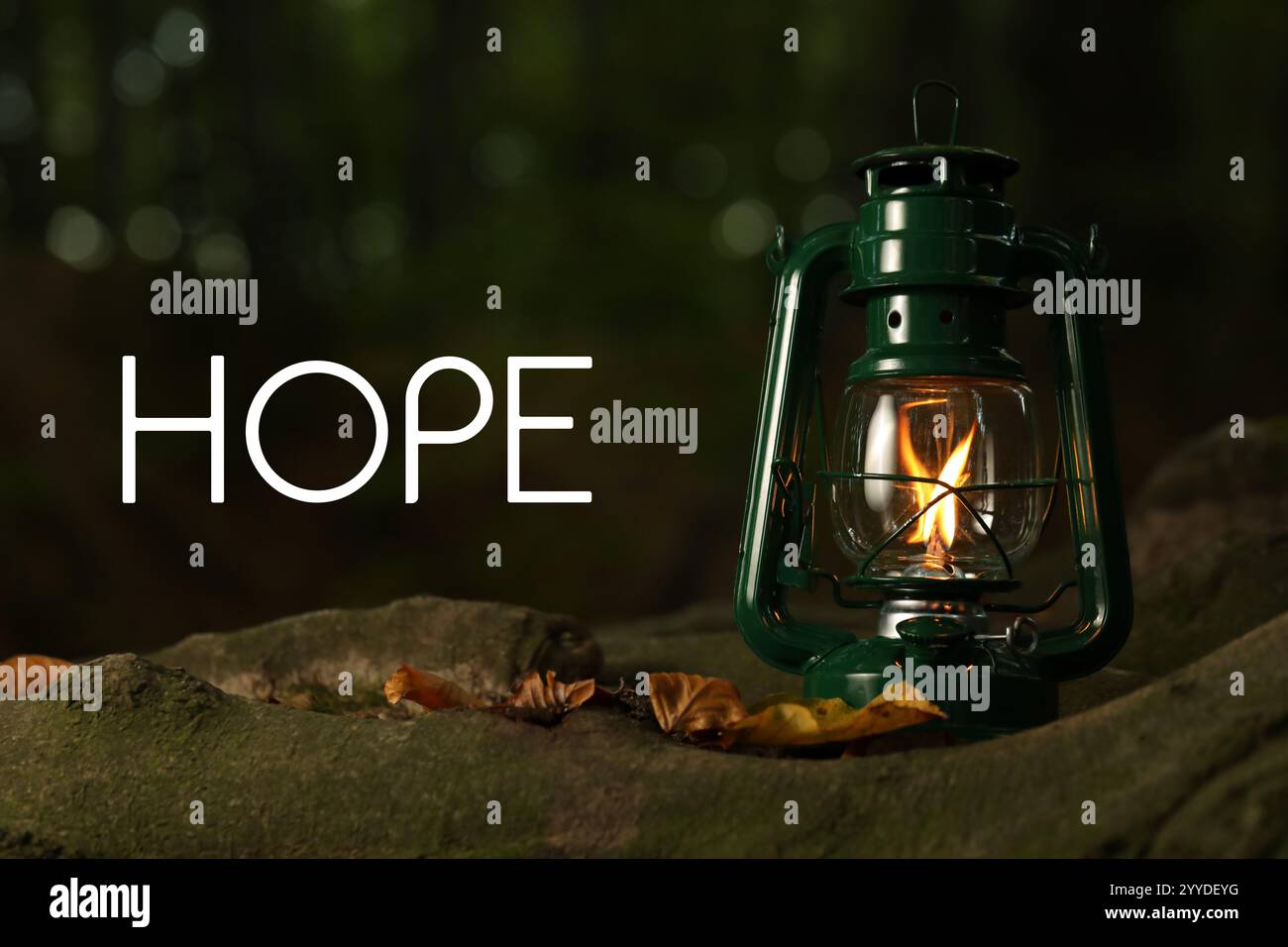 Hope. Vintage kerosene lamp near tree in forest Stock Photo - Alamy