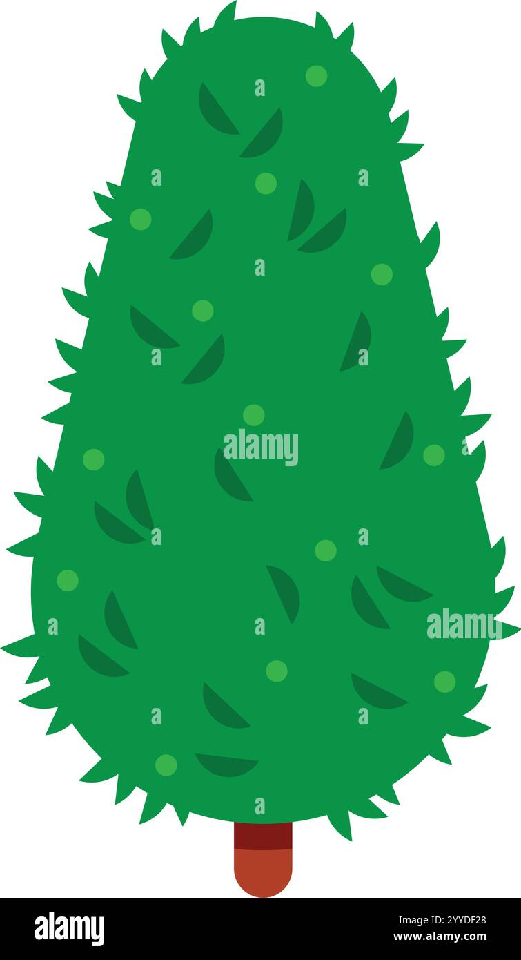 Lush green topiary tree featuring small leaves and round fruits thrives ...