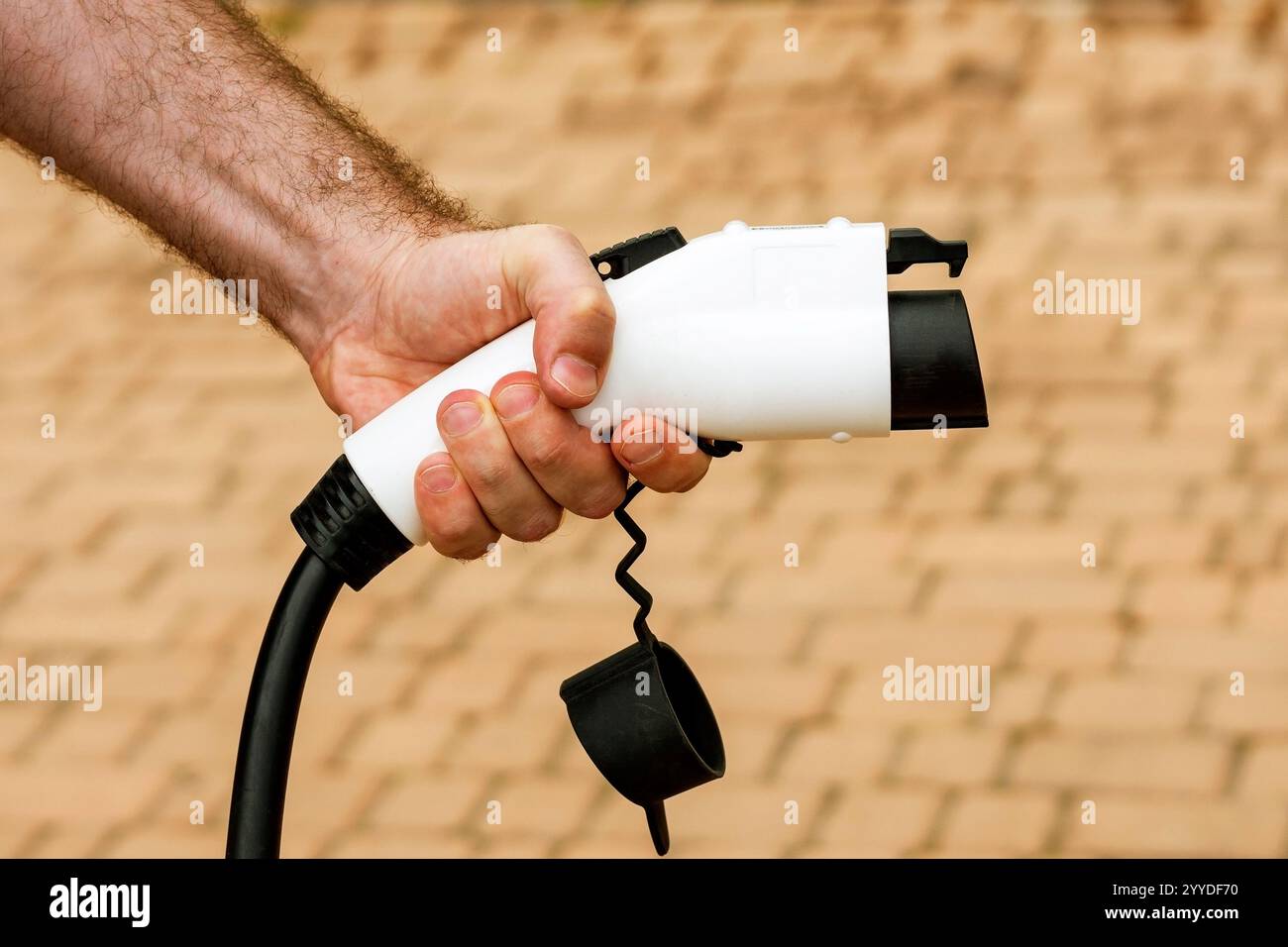 The hand takes an electric vehicle charging cable. in the driver's hand ...