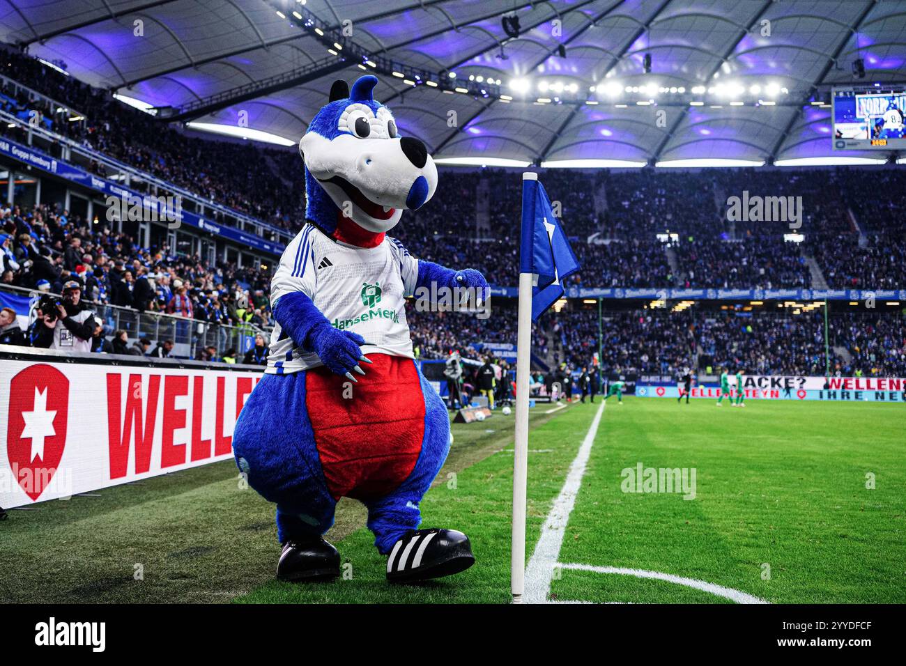 Dino Hermann GER, Hamburger SV vs. SpVgg Greuther Fuerth, Fussball, 2 ...