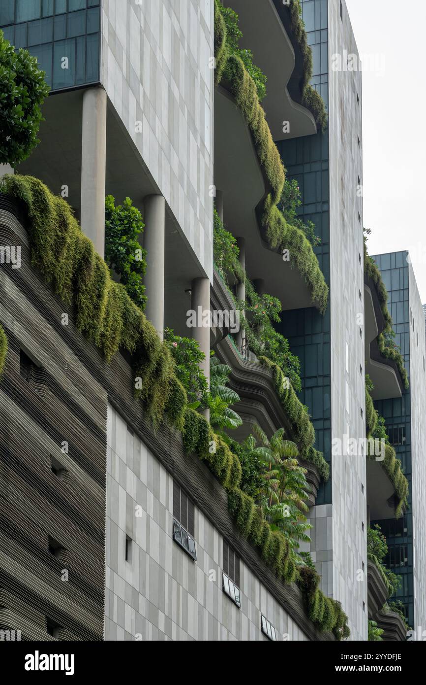 Singapore park royal hotel architecture hi-res stock photography and ...