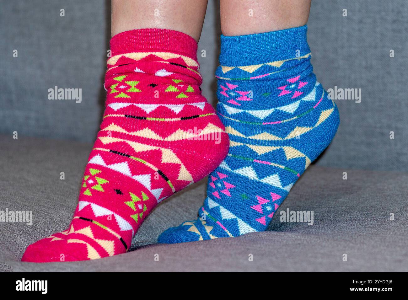 Women's legs in different beautiful socks. Colored socks on a ...