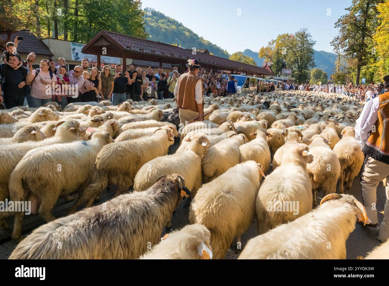 Traditional Redyk day celebration in Szczawnica, Poland Stock Photo - Alamy