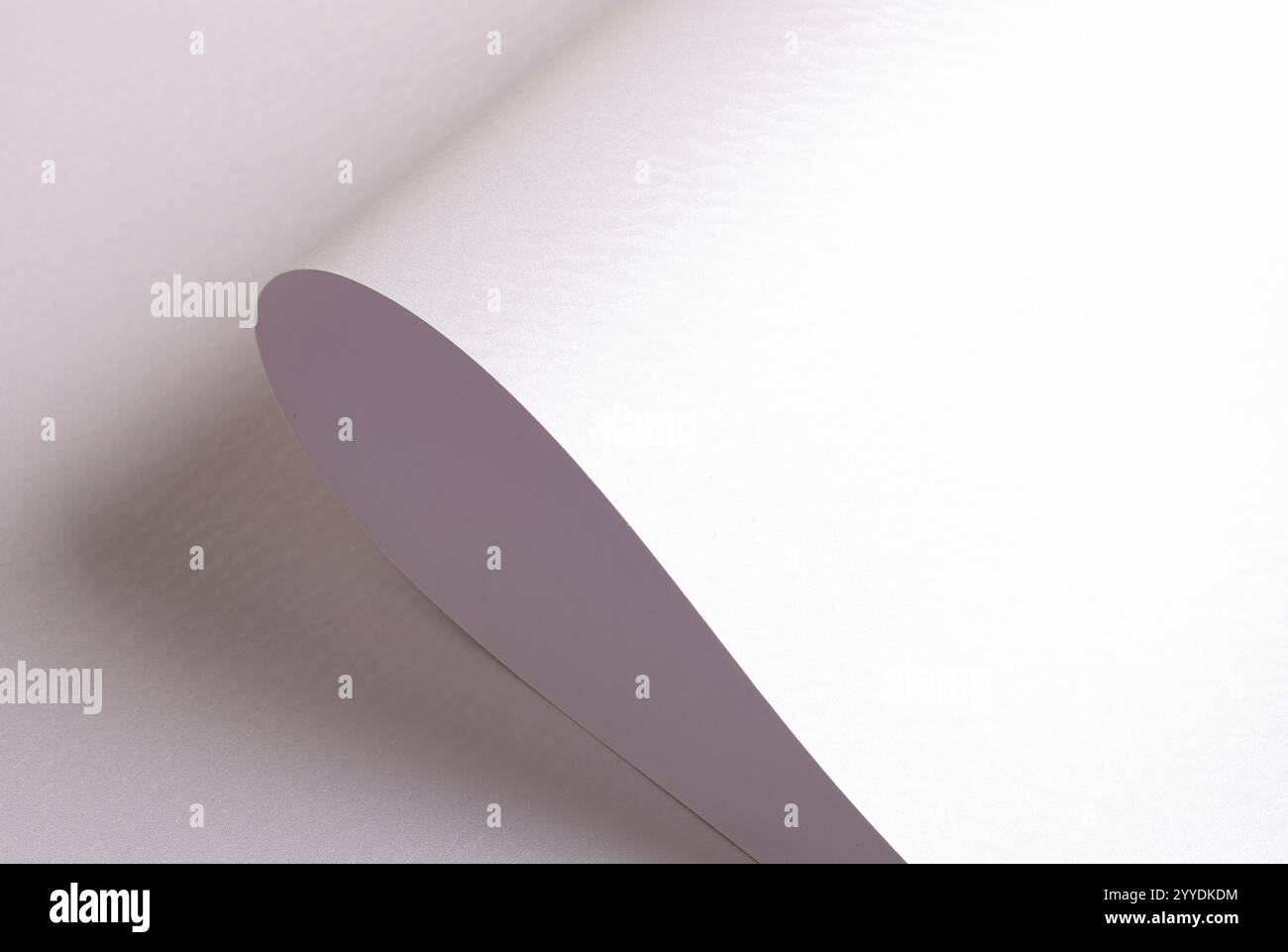 Combining delicate shapes hi-res stock photography and images - Alamy