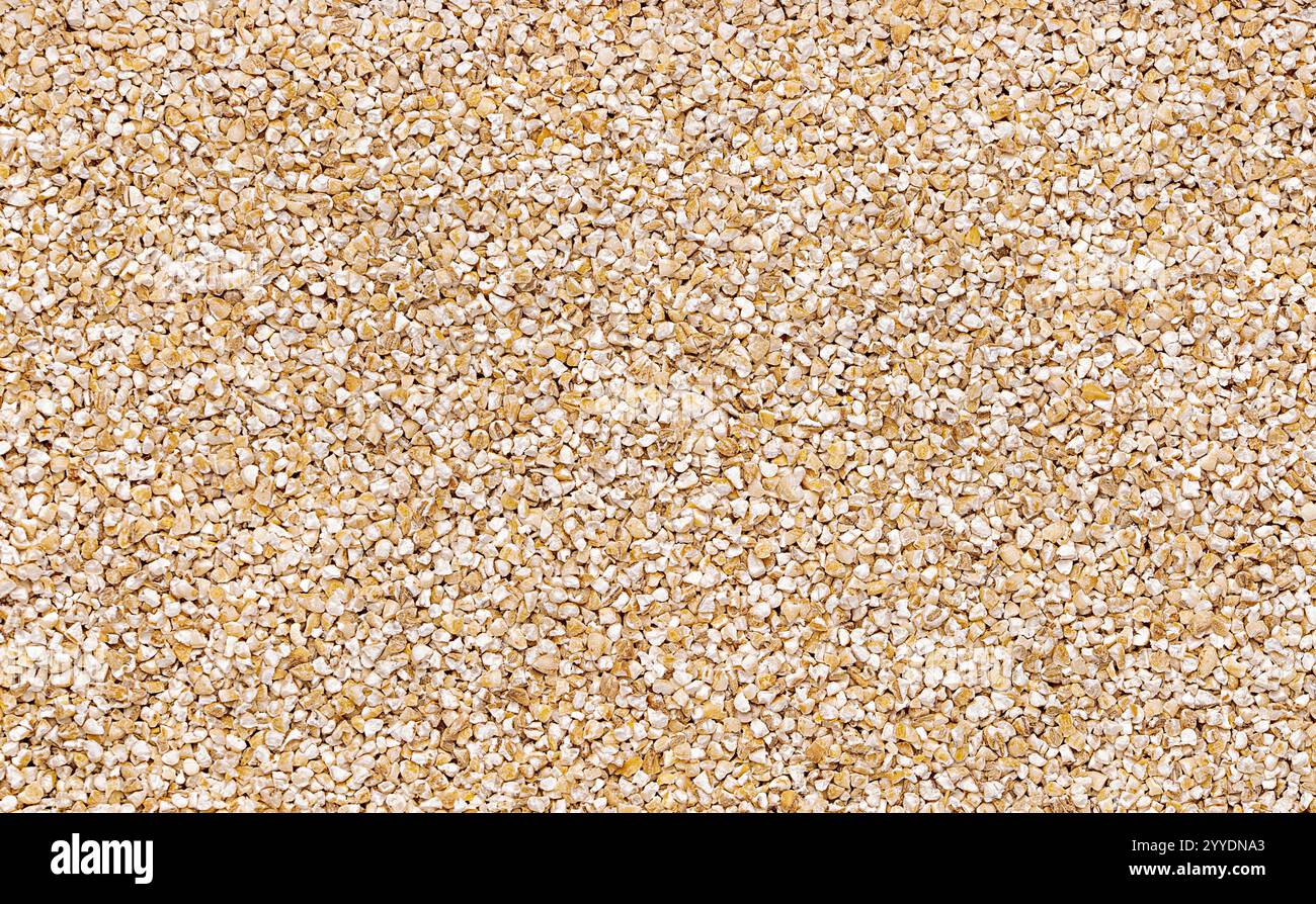 Macro photography of raw barley groats, cereal, grain, hulled barley ...