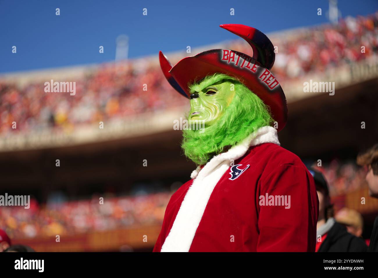 A fan dressed as The Grinch is seen during the first half of an NFL ...