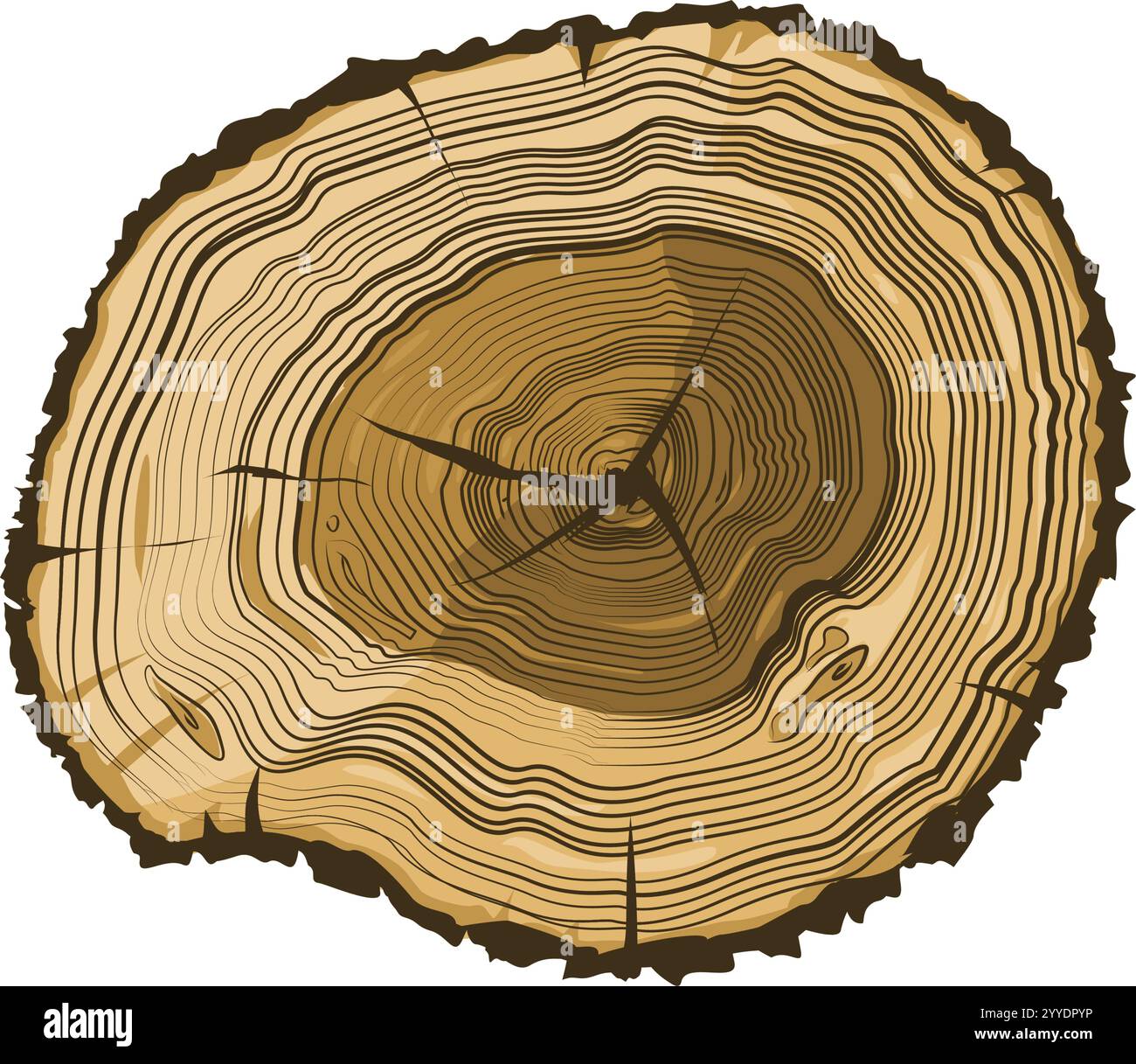 Tree rings, cross section of a tree Stock Vector Image & Art - Alamy