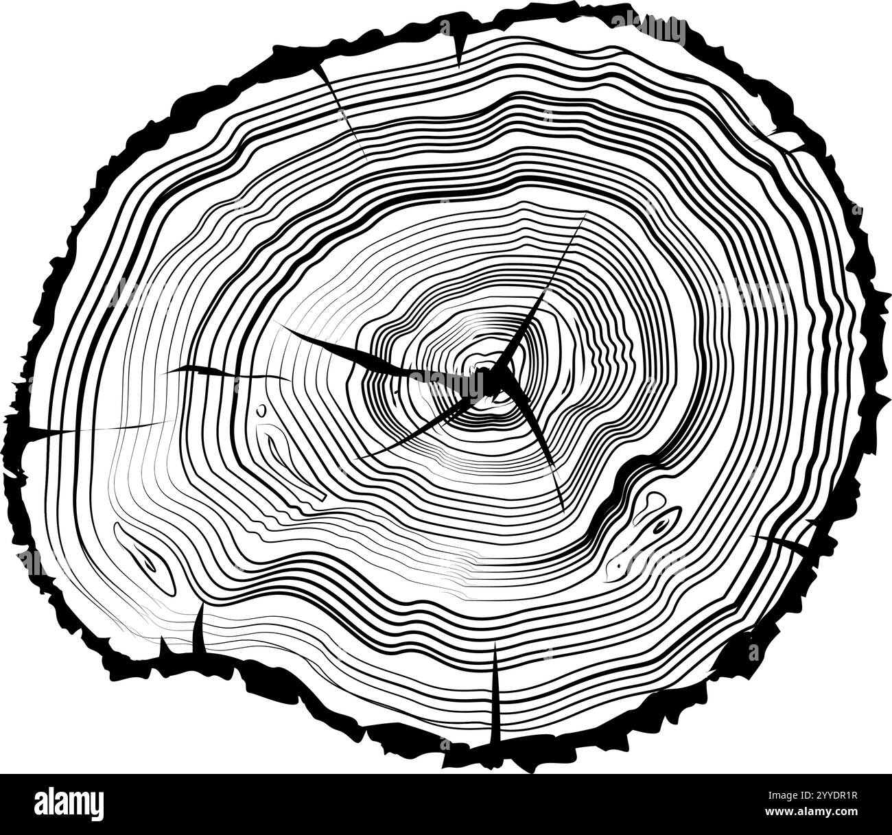 Tree rings, cross section of a tree Stock Vector Image & Art - Alamy