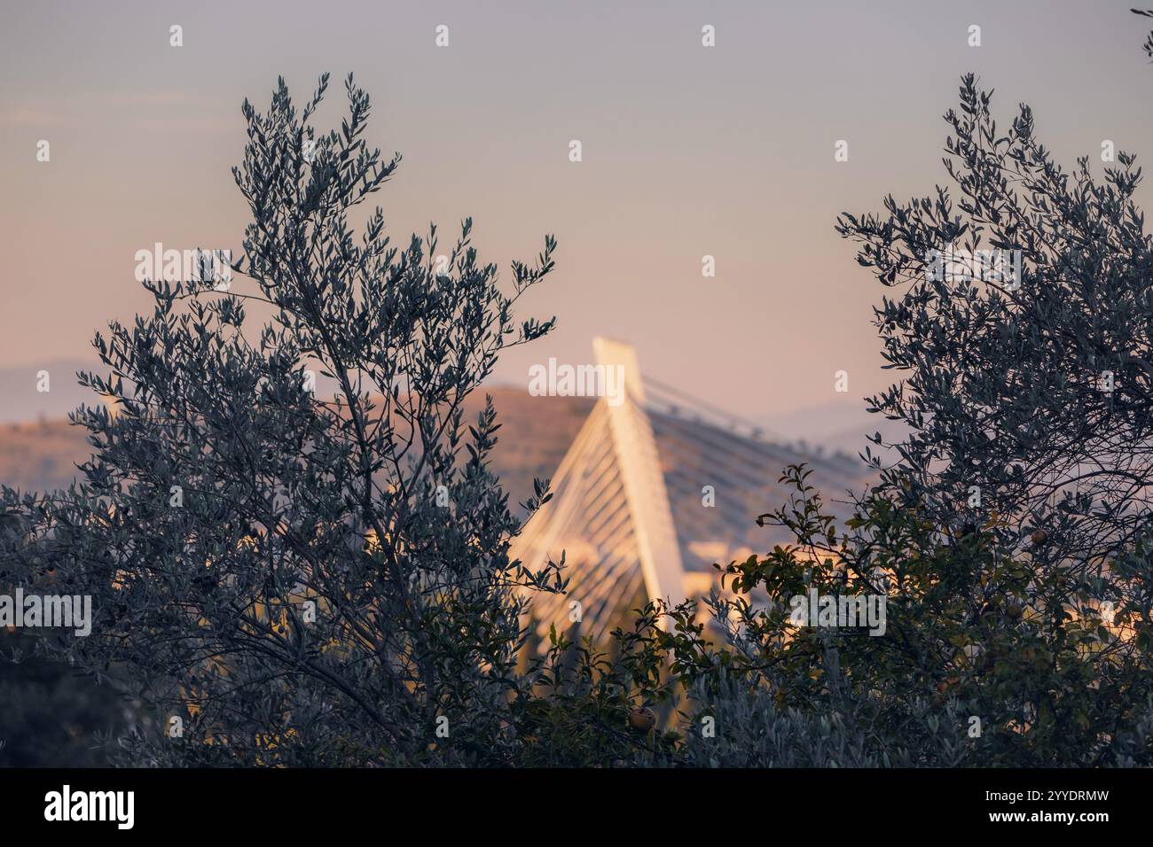 Millennium Bridge in Podgorica is a modern cable-stayed bridge across ...