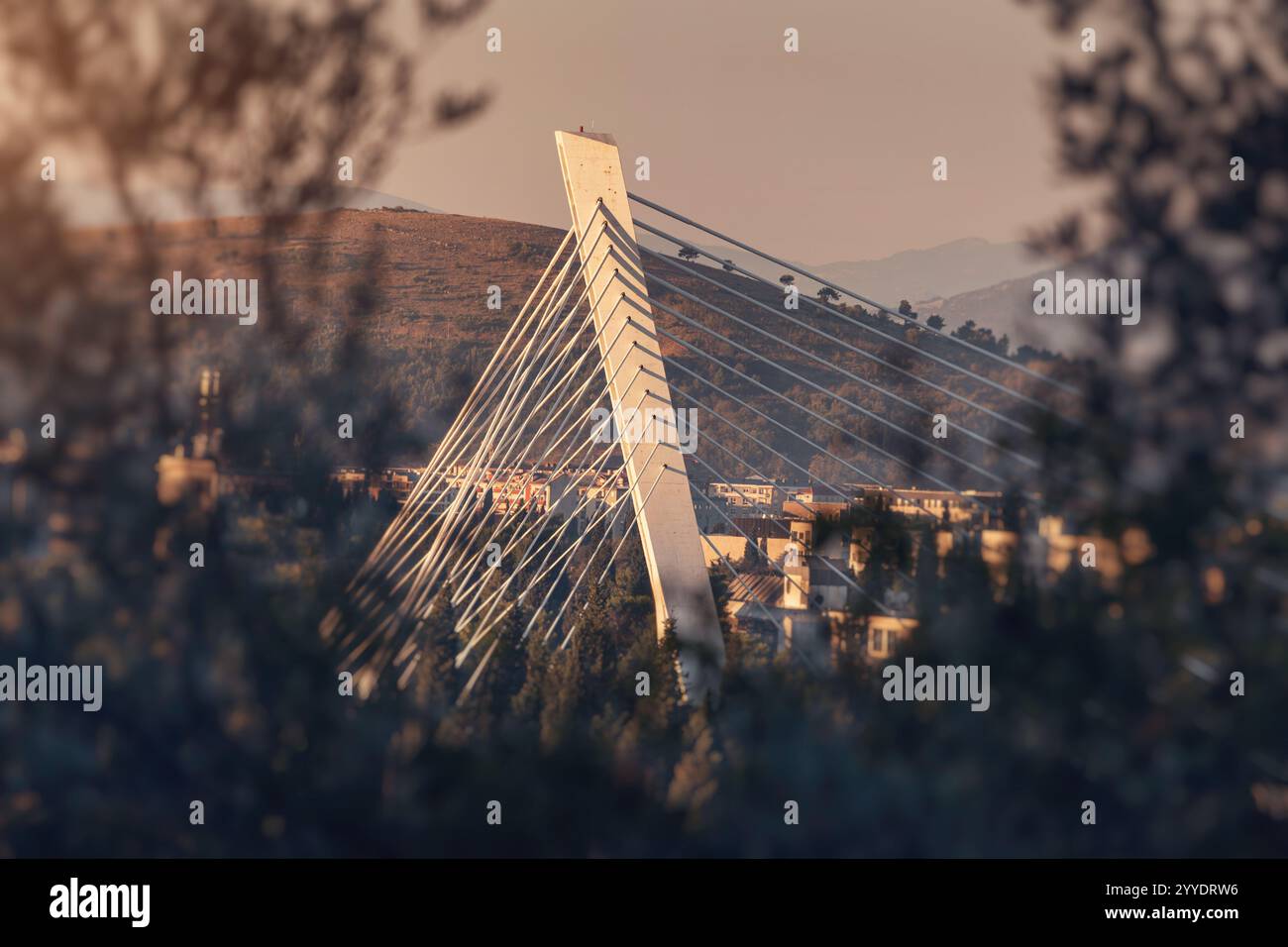 Millennium Bridge in Podgorica is a modern cable-stayed bridge across ...