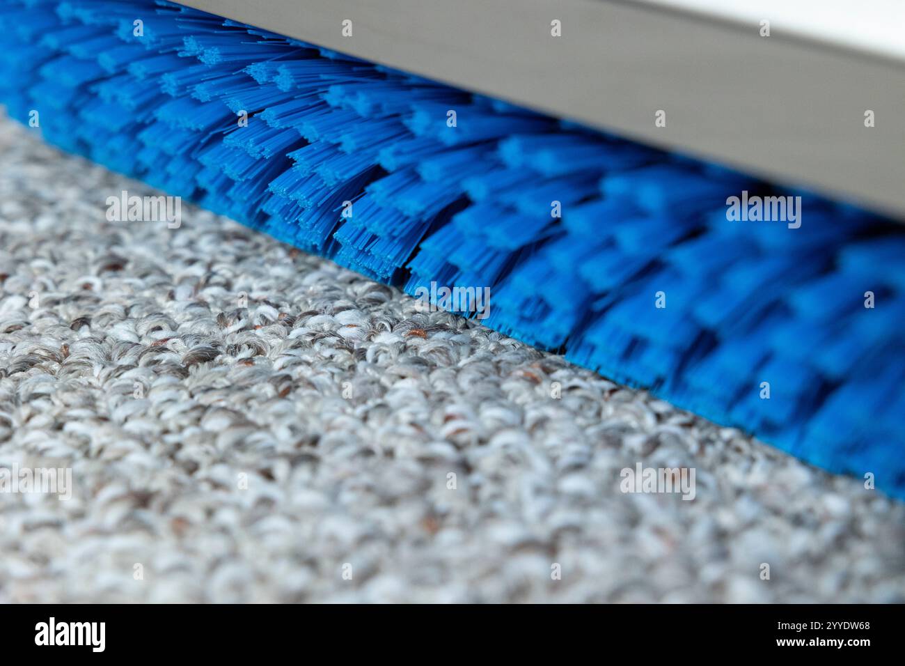 Cylindrical blue brush of a counter-rotating brush CRB low-moisture ...