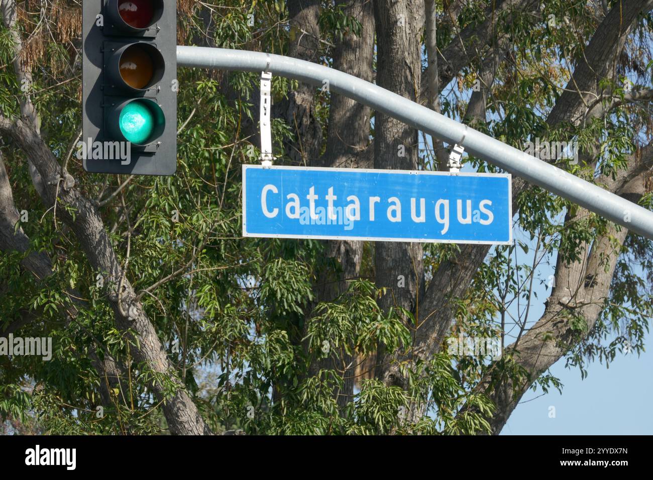 Los Angeles, California, USA 20th December 2024 Cattaraugus Avenue on ...