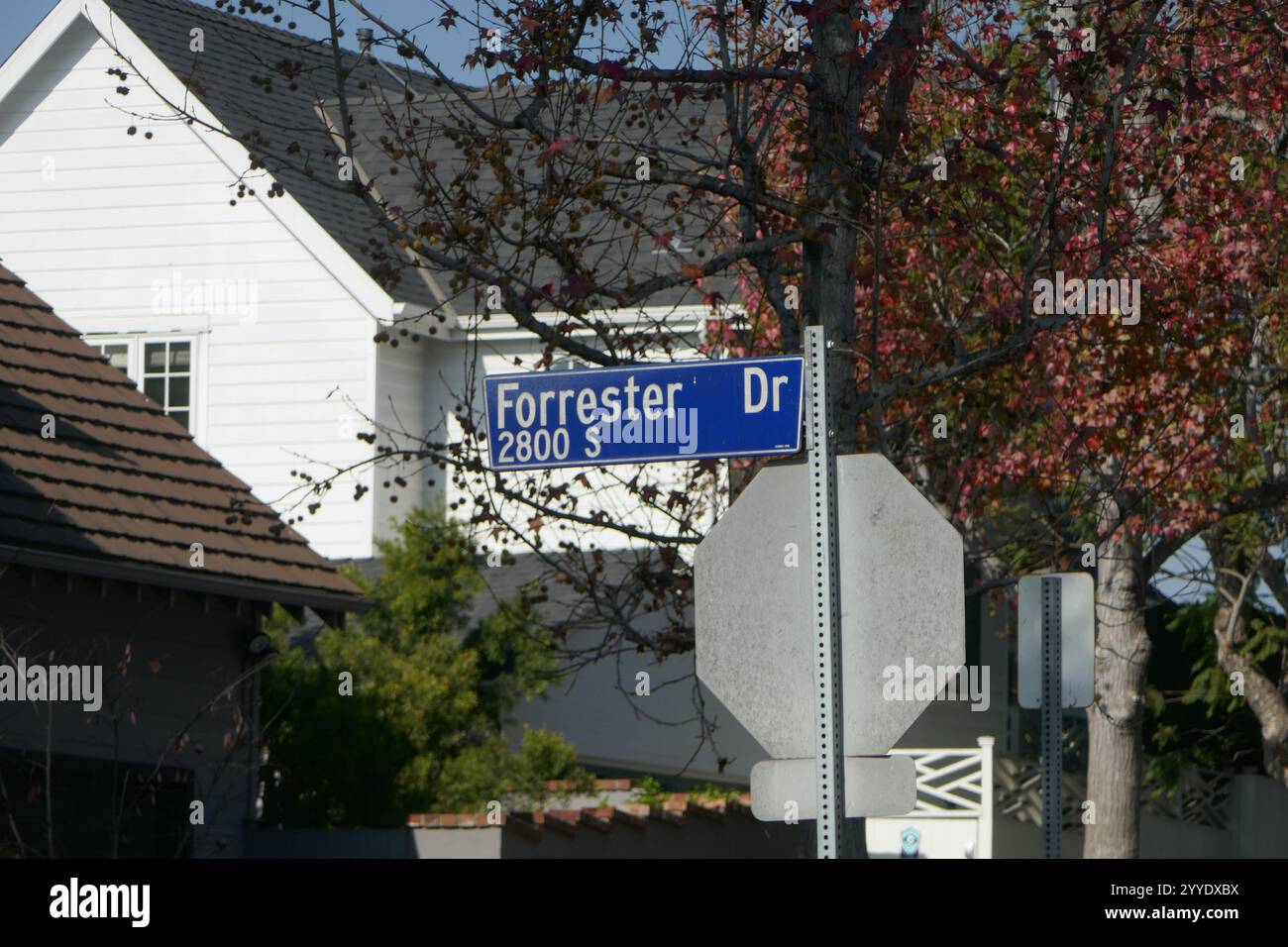Los Angeles, California, USA 20th December 2024 Forrester Drive on December 20, 2024 in Los ...