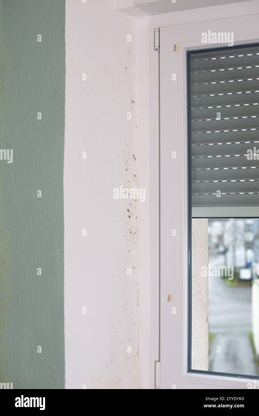 Mold on the wall beside window, spot fungus, damp or water damage ...