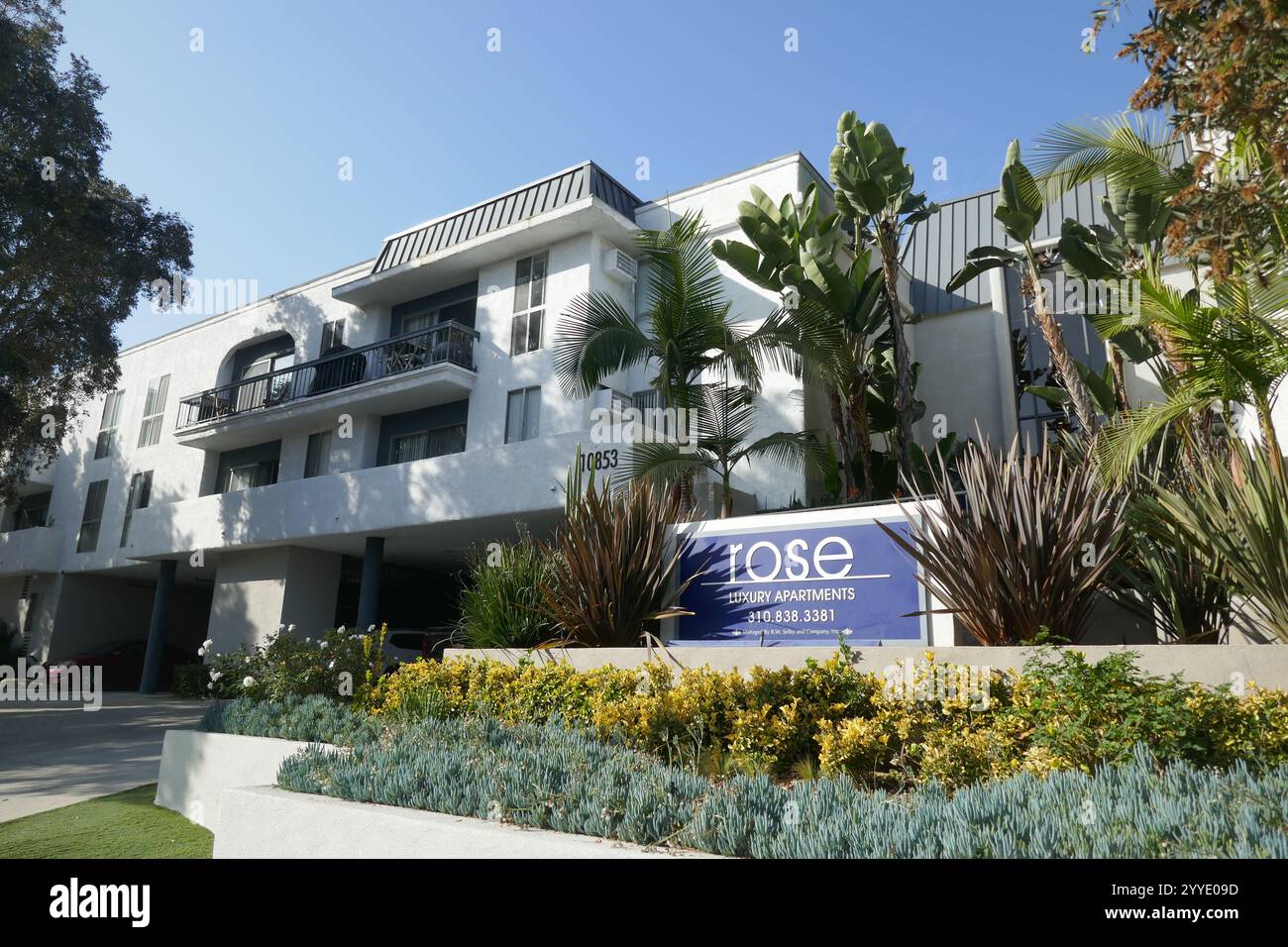 Los Angeles, California, USA 20th December 2024 Voice Actress Mary Kay ...