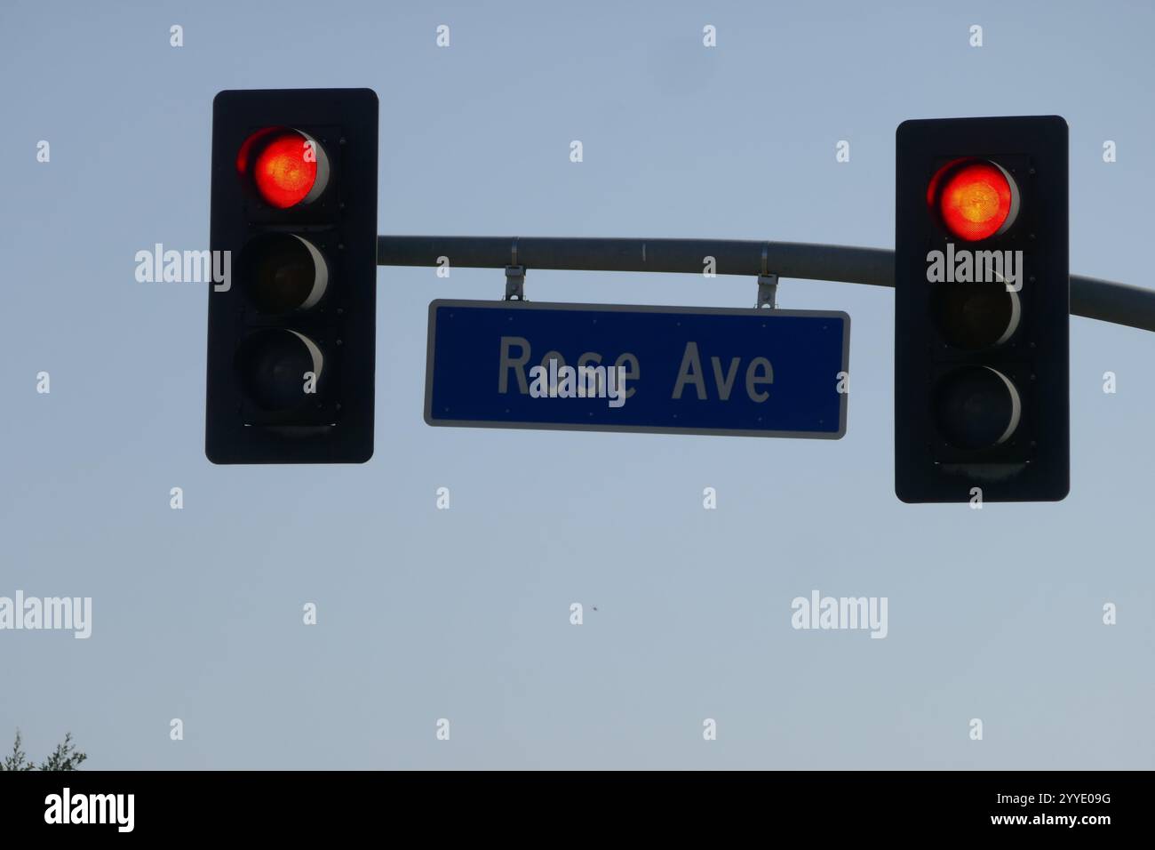 Los Angeles, California, USA 20th December 2024 Voice Actress Mary Kay ...