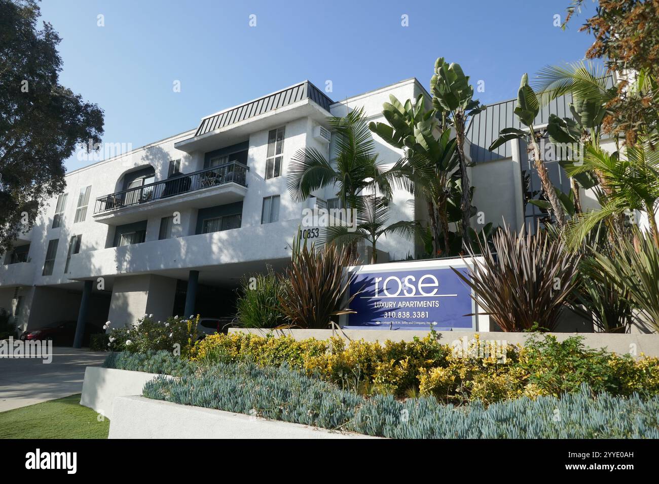 Los Angeles, California, USA 20th December 2024 Voice Actress Mary Kay ...